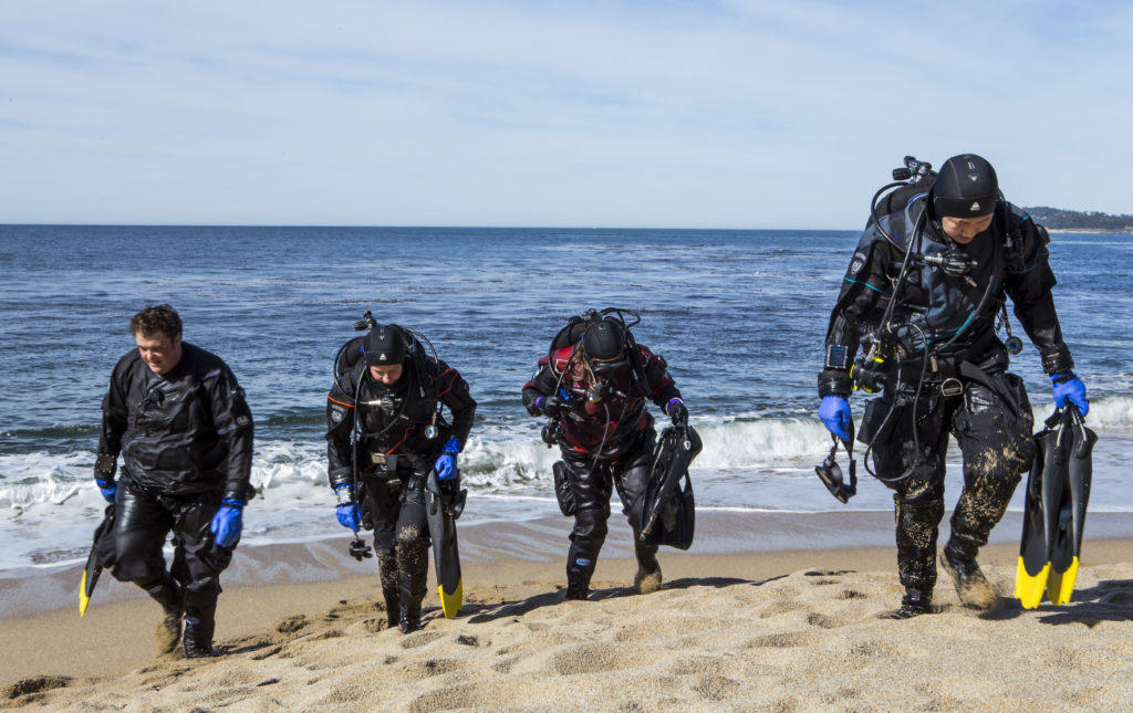 Discover Local Diving - Diver Dan's